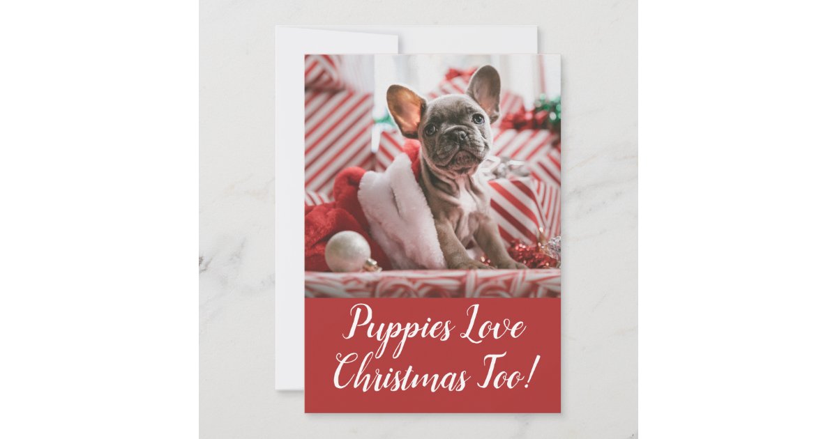 Puppies Love Christmas French Bulldog Holiday Card | Zazzle