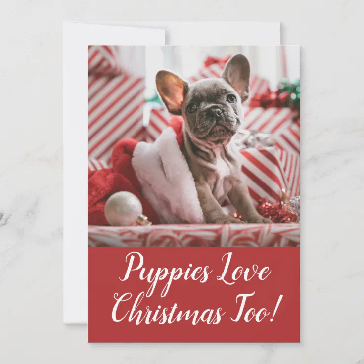 Puppies Love Christmas French Bulldog Holiday Card | Zazzle