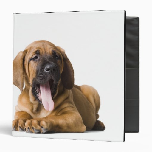 Puppy Dog 2 Binder | Zazzle