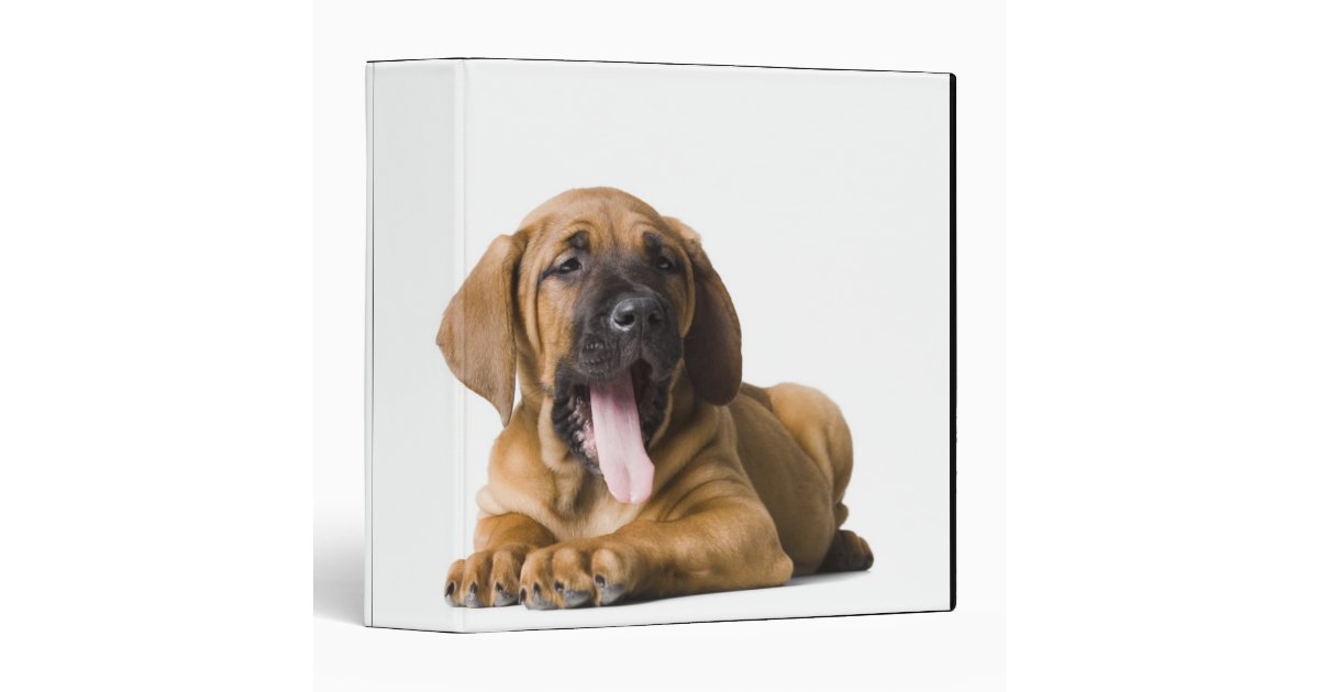 Puppy Dog 2 Binder | Zazzle