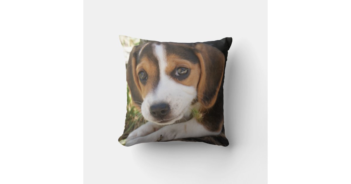 Puppy Dog Beagle Throw Pillow | Zazzle