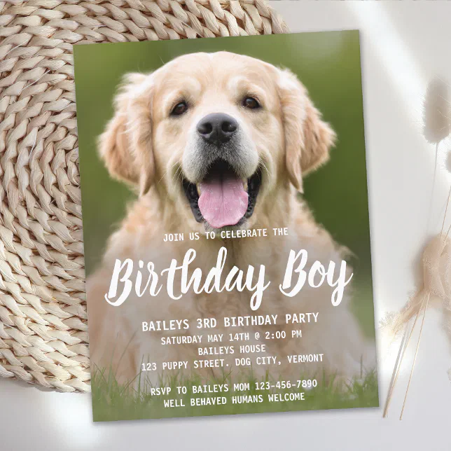 Puppy Dog Birthday Party Pet Photo Invitation Postcard | Zazzle