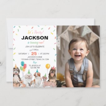 Puppy Dog Boy First Birthday Photo Invitation | Zazzle