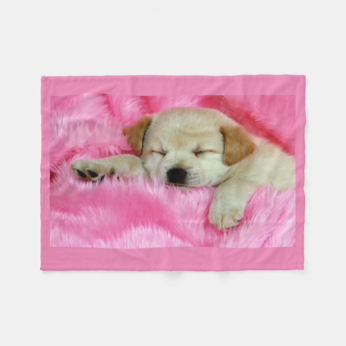 Puppy Dog Sleeping on Pink Fleece Blanket | Zazzle.com