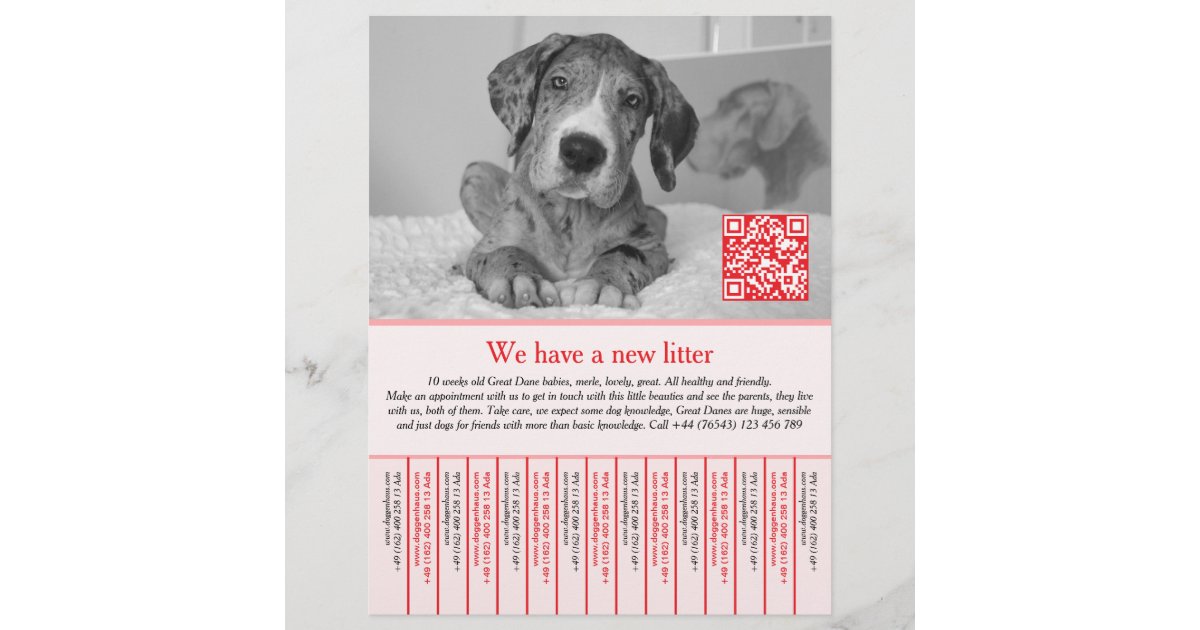 puppy flyers red | Zazzle