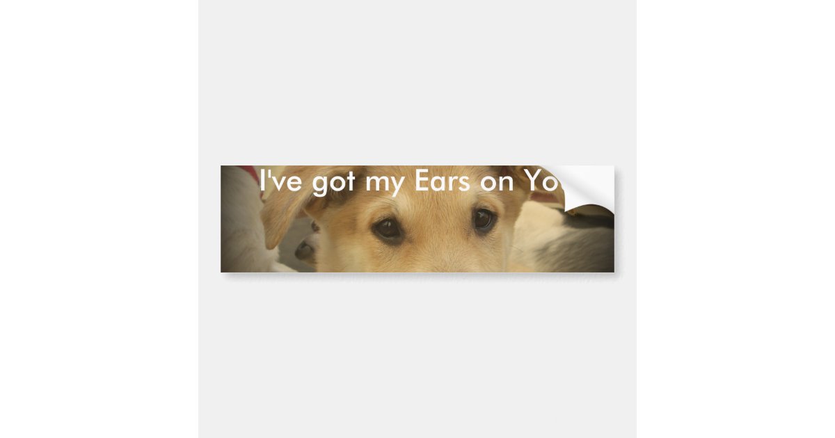 Puppy Love: Man's Best Friend Bumper Sticker | Zazzle