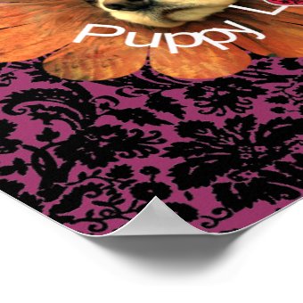 Puppy Love Poster | Zazzle
