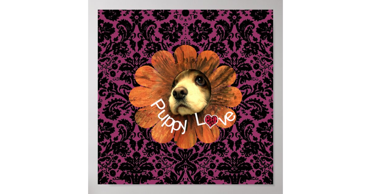 Puppy Love Poster | Zazzle