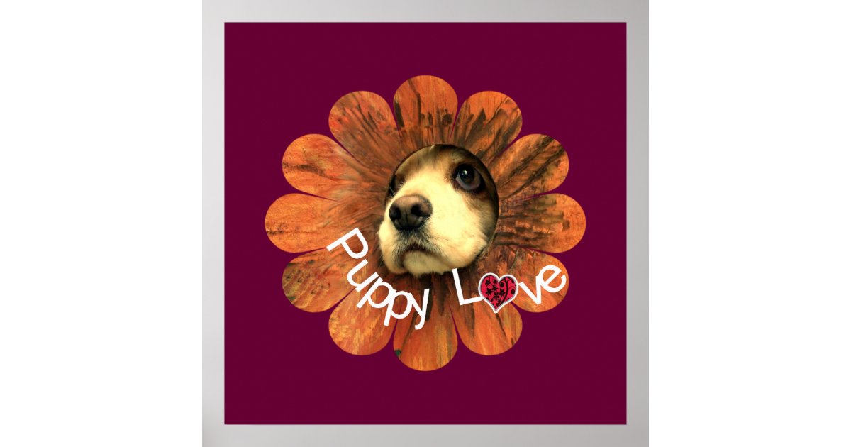 Puppy Love Poster | Zazzle