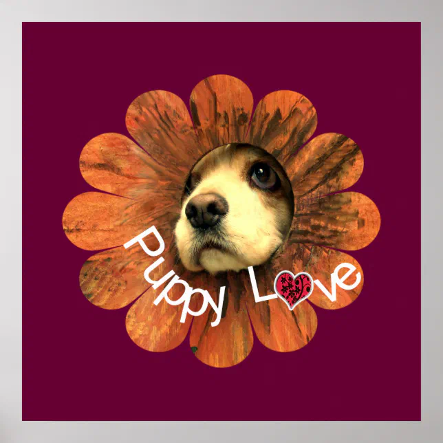 Puppy Love Poster | Zazzle