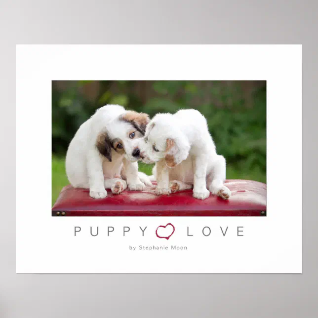 Puppy Love Poster | Zazzle