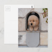Puppy Mail Postcard | Zazzle