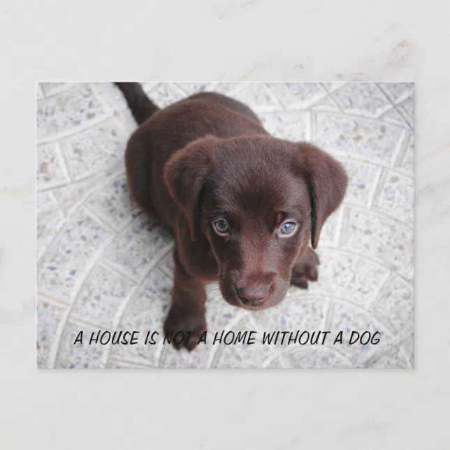 Puppy Quote Postcard | Zazzle