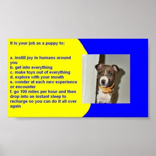 PUPPY RULES POSTER | Zazzle