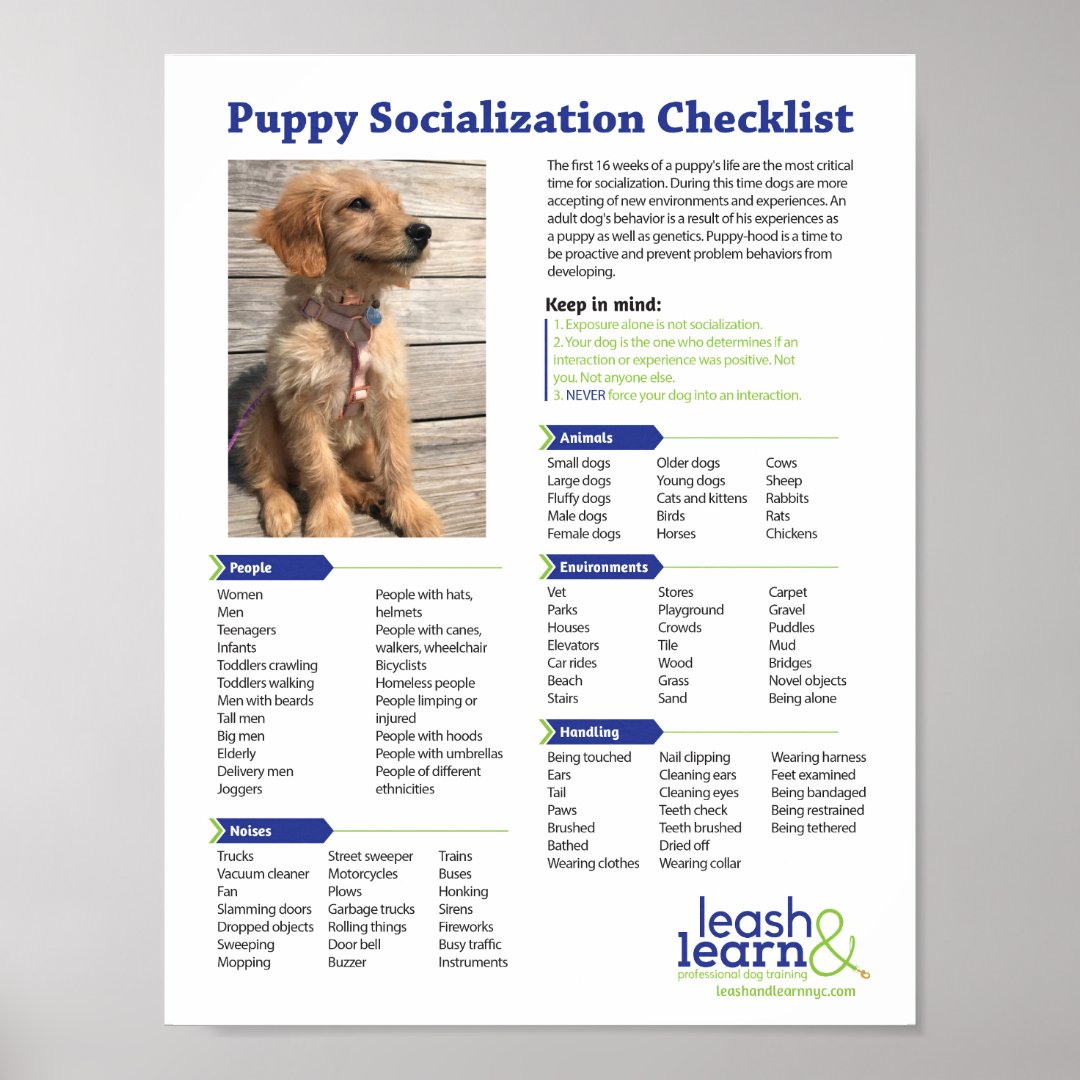 Puppy Socialization Checklist Poster | Zazzle