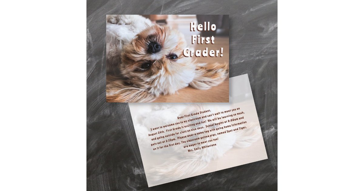 Puppy Welcome Back to School Message Cards | Zazzle