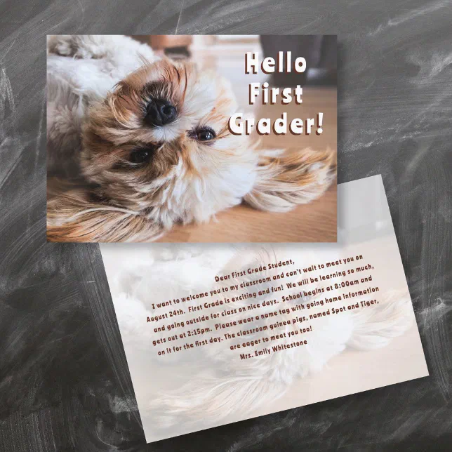 Puppy Welcome Back to School Message Cards | Zazzle