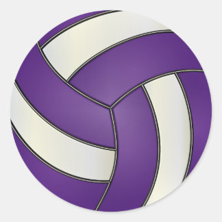 Purple Volleyball Stickers | Zazzle