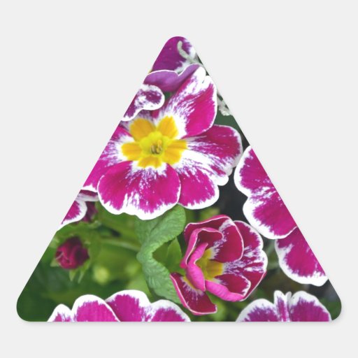 Purple and yellow primrose flowers triangle sticker | Zazzle