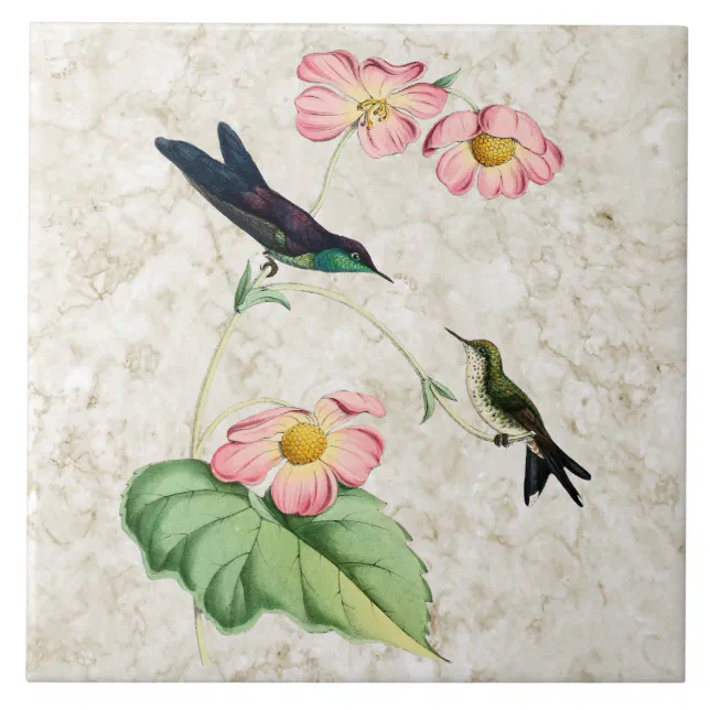Purple Backed Thornbill Hummingbird Ceramic Tile | Zazzle