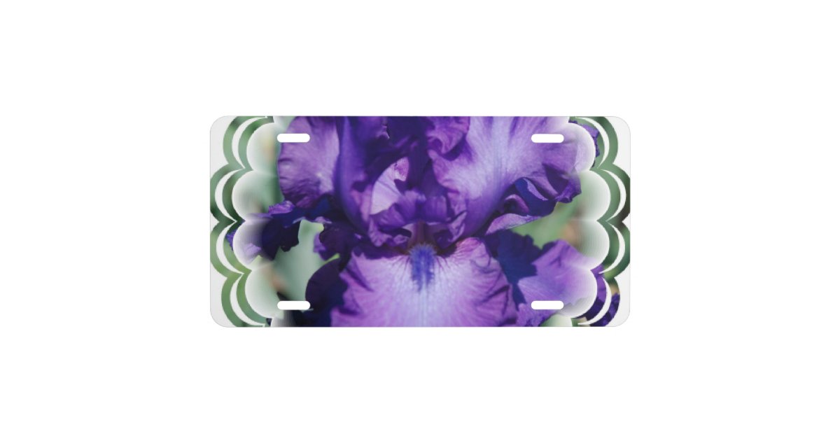 Purple Bearded Iris License Plate | Zazzle