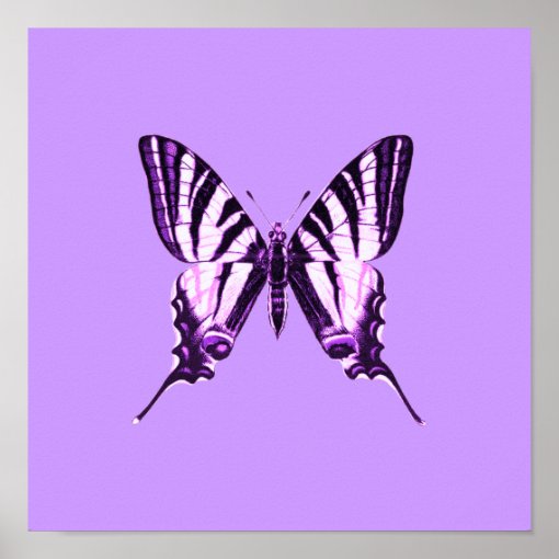 Purple Butterfly Poster | Zazzle