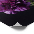 Purple Carnations Flower Art Print Poster | Zazzle