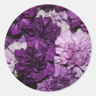 Carnation Stickers | Zazzle