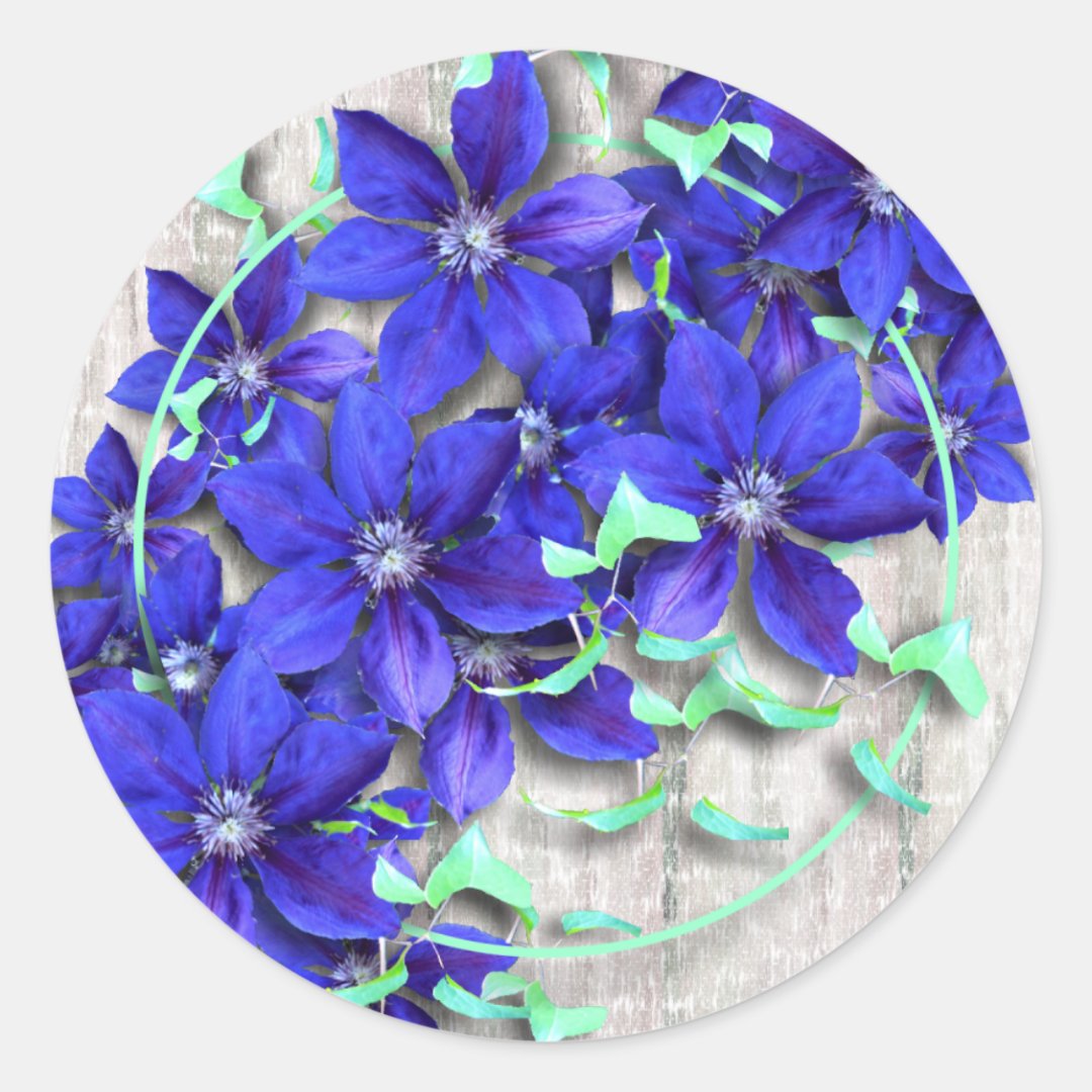 Purple Celebration Clematis Flowers Stickers | Zazzle