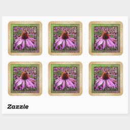 Purple Coneflower Echinacea Wildflower Sticker | Zazzle