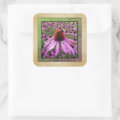 Purple Coneflower Echinacea Wildflower Sticker | Zazzle