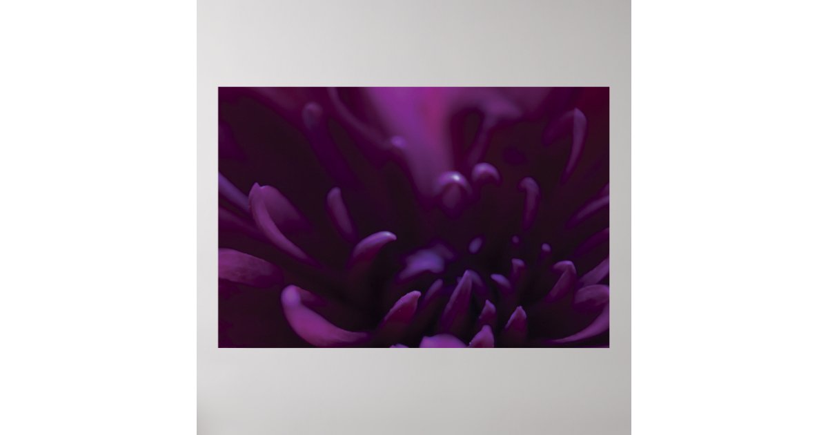 Purple Flower Photograph Poster | Zazzle