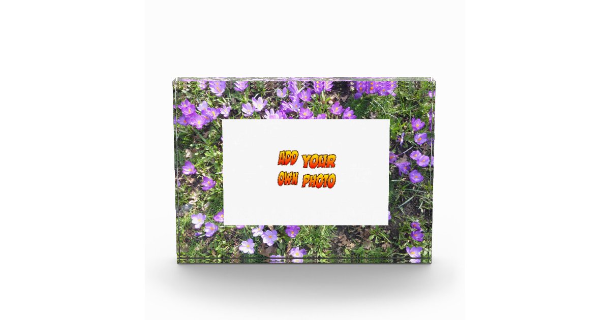 Purple Flowers Crocus Cust. Photo Block | Zazzle