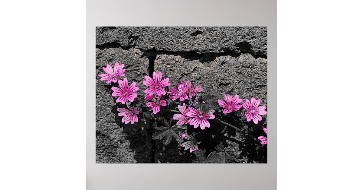 Purple flowers poster | Zazzle