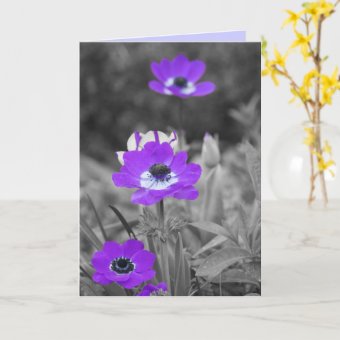 Purple Flowers Sympathy Card | Zazzle
