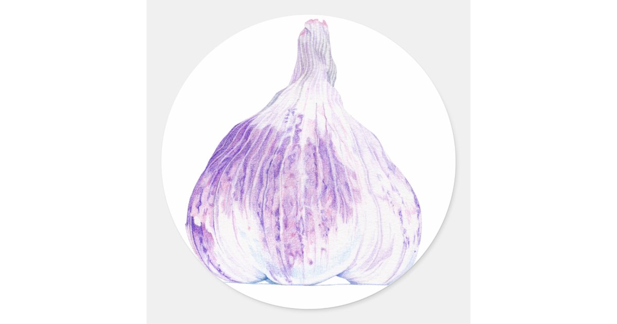 Purple Garlic Sticker | Zazzle