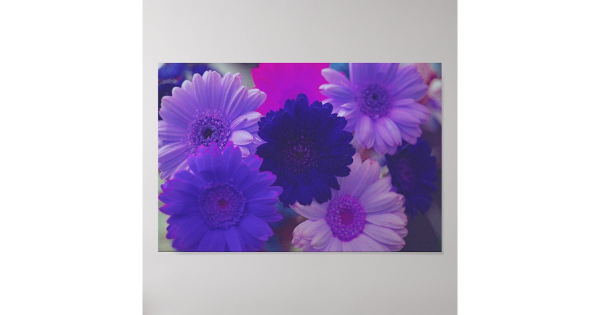 Purple Gerbera Daisy Flowers Wall Art Print Poster | Zazzle