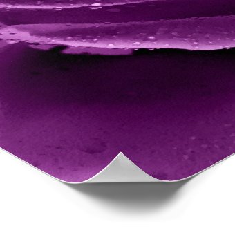 Purple Haze Poster | Zazzle