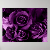 Purple Haze Poster | Zazzle
