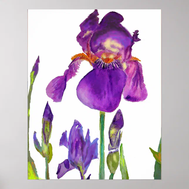 Purple Iris irises floral Flowers Poster | Zazzle