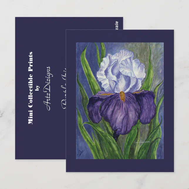 Purple Iris Mini Collectible Prints Postcard | Zazzle
