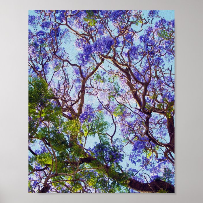 Purple Jacaranda Tree Oil Painting, Poster | Zazzle.com