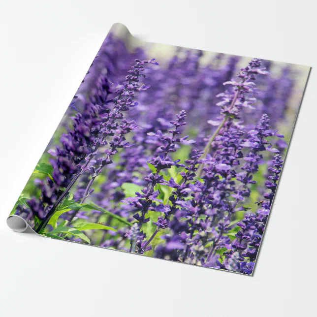 Purple Lavender Flowers Wrapping Paper | Zazzle