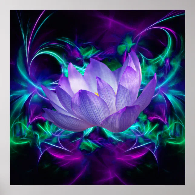 Purple Lotus flower and its meaning Poster | Zazzle