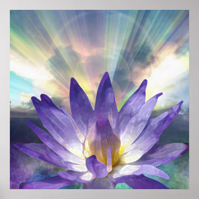 Purple Lotus Poster | Zazzle