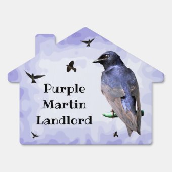 Purple Martin Sign | Zazzle