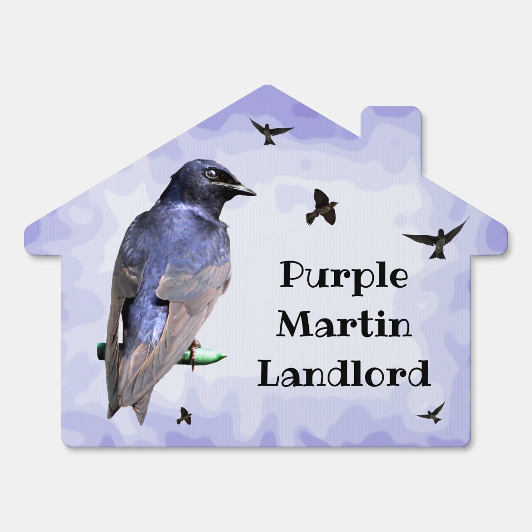 Purple Martin Sign | Zazzle