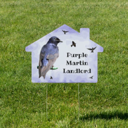 Purple Martin Sign | Zazzle