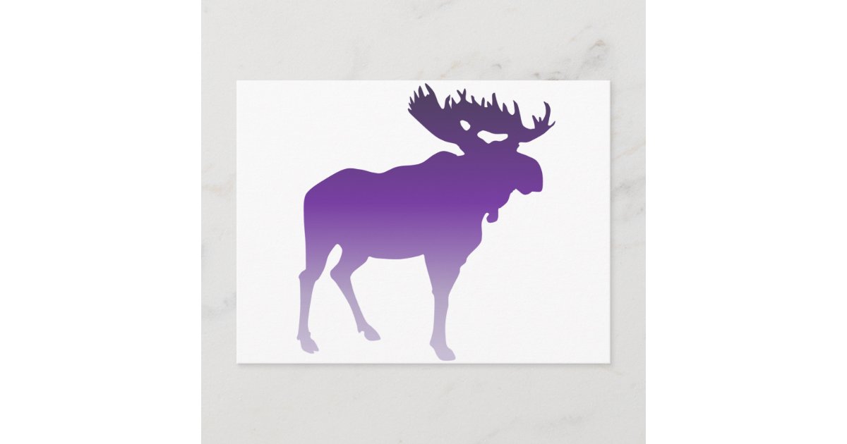 Purple Moose Postcard | Zazzle