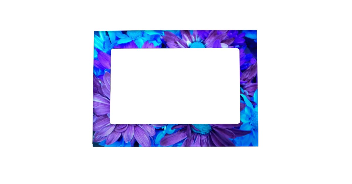 Purple N Turquoise Daisies Magnetic Photo Frame | Zazzle